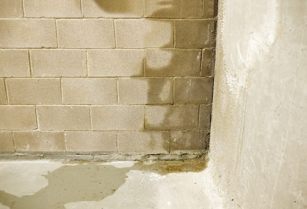 4 Tips to Keep Your Basement Dry - AWP Home Inspections