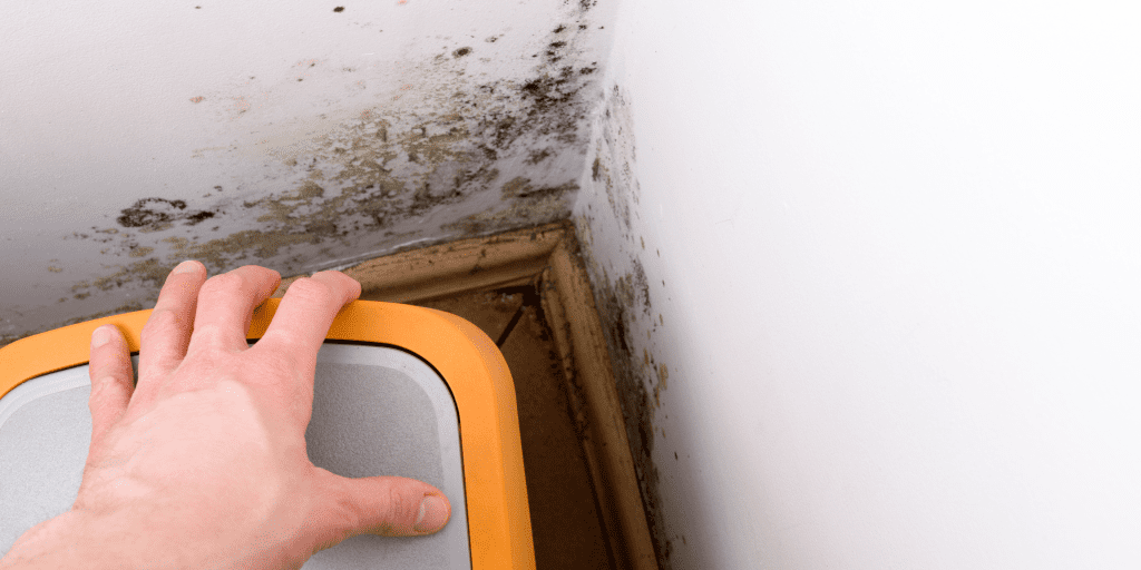 Effective Tips for Keeping Your Home Mold and Mildew-Free